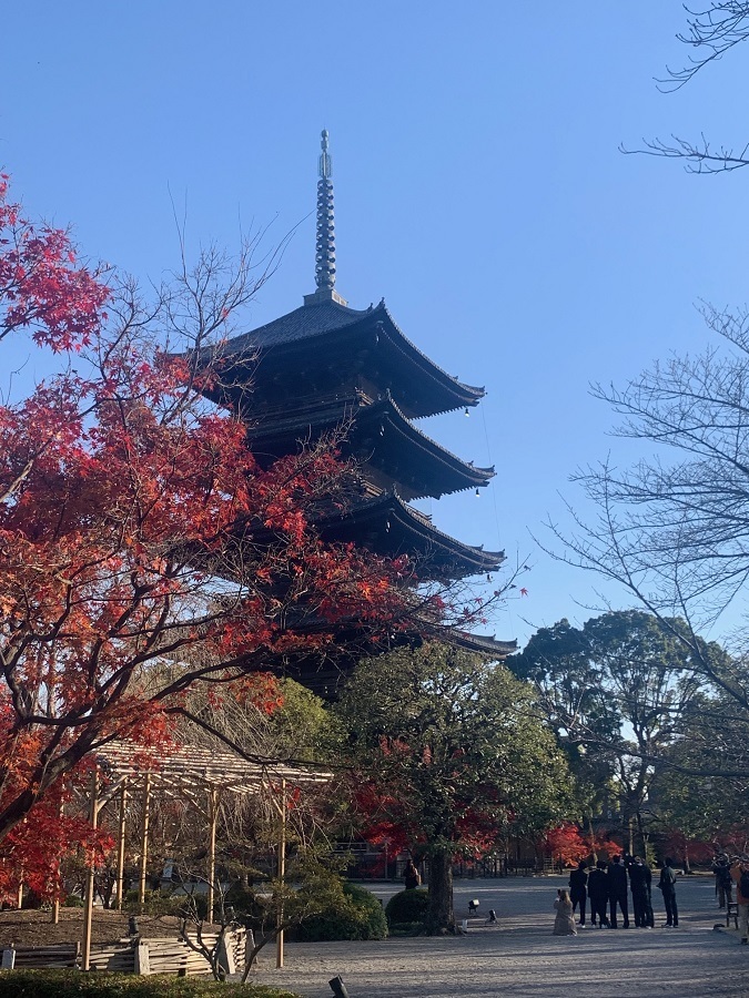 思い立って京都三弘法霊場巡り（仁和寺・神光院・東寺）: シニア親父のつぶやき・愚痴話