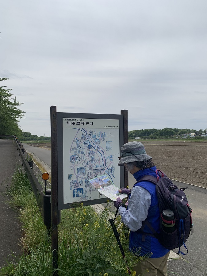 第二回・さいたま市・見沼田んぼ、その周辺散策: シニア親父のつぶやき・愚痴話